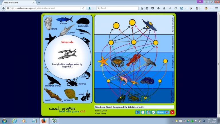 Who eats what? : A food web activity for homeschool science - My ...
