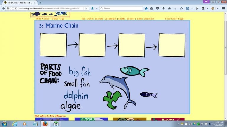 Who eats what? : A food web activity for homeschool science - My ...